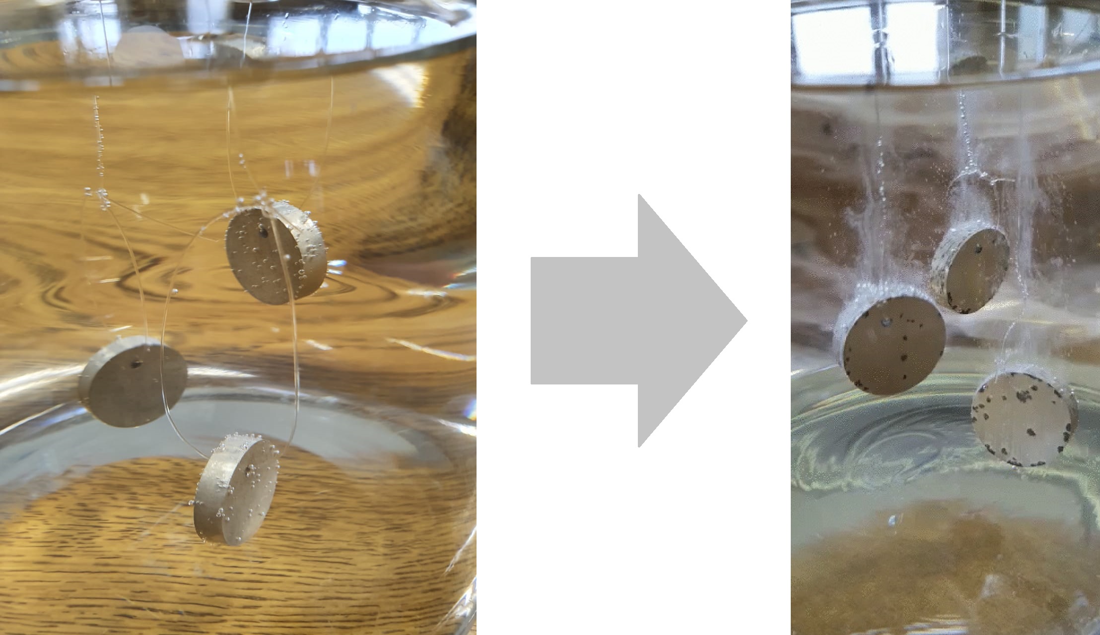 Ensaios de Corrosão – Testes de Imersão | CCDM